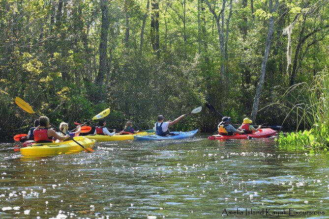 Self Guided Family Friendly Kayak Rental Experience Old Florida - Logistics and Practicalities