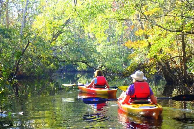 Self Guided Family Friendly Kayak Rental Experience Old Florida - Final Thoughts