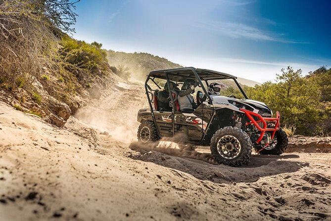Self-Guided Fear and Loathing UTV Rental - Key Points