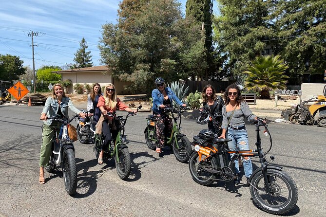 Self Guided Full Day E-bike Rental With Picnic Lunch - Who Will Love This Experience?