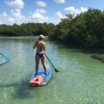 Self-Guided Island Tour: CLEAR/Standard Kayak, SUP-Bonita Springs - Who Will Love This Tour?