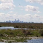 Self Guided Kayak Bayou Swamp Tour - Final Thoughts: Is It Worth It?
