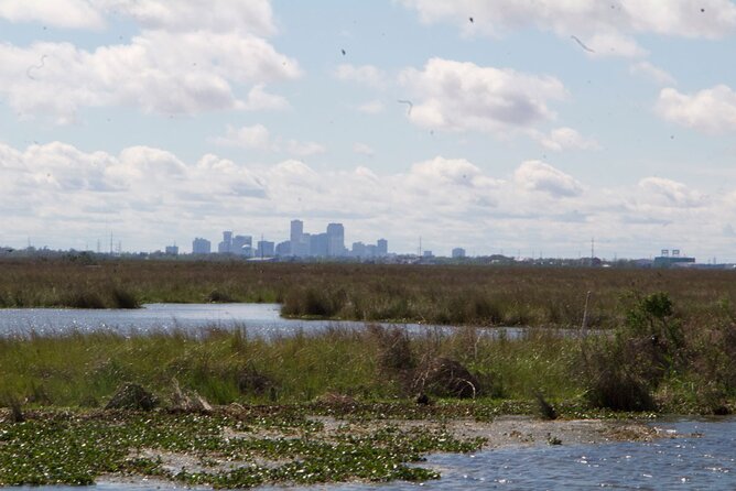 Self Guided Kayak Bayou Swamp Tour - Final Thoughts: Is It Worth It?