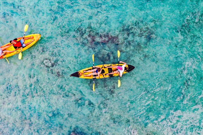 Self-Guided Kayaking Tour in Kailua Bay and Popoia Island - Who Should Consider This Tour?