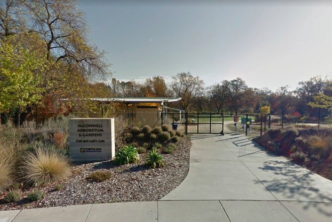 Self-Guided Scavenger Hunt: A Green Day by Reddings River - What to Expect from the Redding Self-Guided Adventure