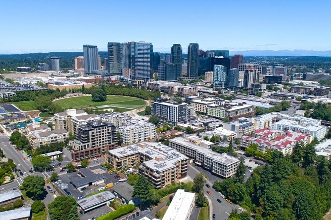 Self-Guided Scavenger Hunt: Beautiful Views of Bellevue - Key Points