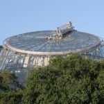Self-Guided Scavenger Hunt: Houston's Museum District - Who Would Enjoy This Tour?