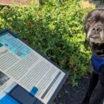 Self-Guided Scavenger Hunt in Philadelphia - The Challenge and Engagement