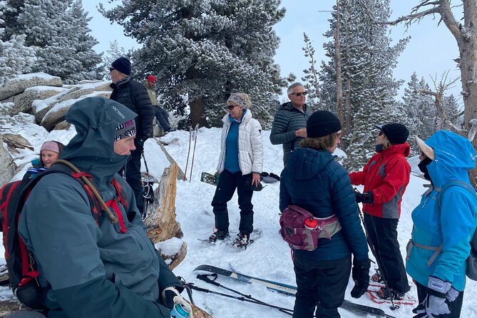 Self Guided Snowshoe Experience at Lake Tahoe - The Sum Up
