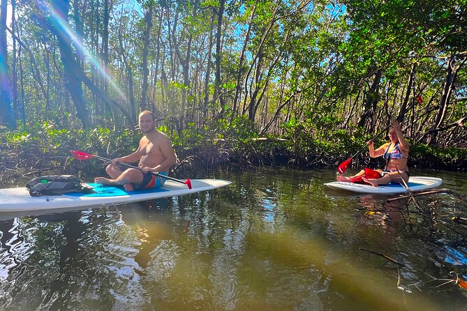Self Guided Standup Paddle Board EcoTour -Bonita Springs - Why Choose This Paddleboard EcoTour?