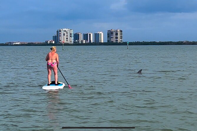 Self Guided Standup Paddle Board EcoTour -Bonita Springs - Practical Tips for Your Paddleboard EcoTour