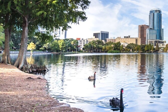 Self-Guided Walking Audio Tour around Lake Eola in Orlando - Who Will Love This Tour?