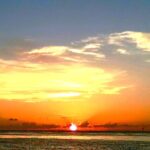 Semi-Private 2Hr. Sunset Cruise of St. Pete Beach - Sunset Views and Wildlife Encounters