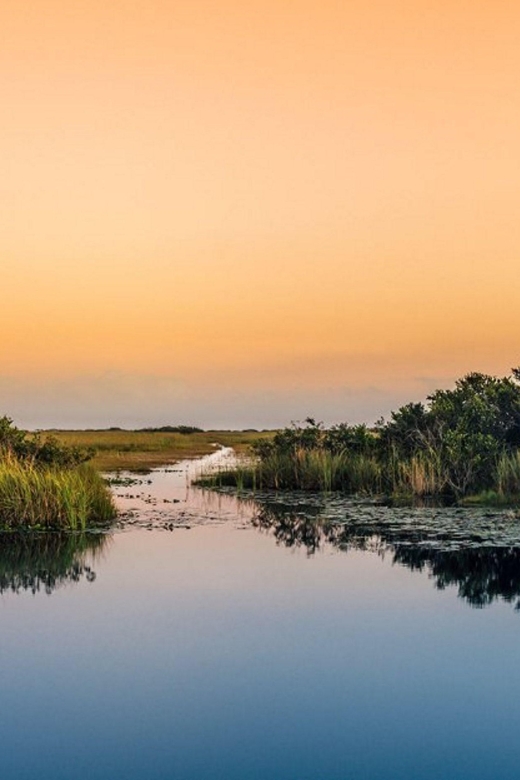 Semi-Private Everglades Tour from Miami Or Fort Lauderdale - Key Points