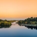 Semi-Private Everglades Tour from Miami Or Fort Lauderdale - Transportation and Comfort