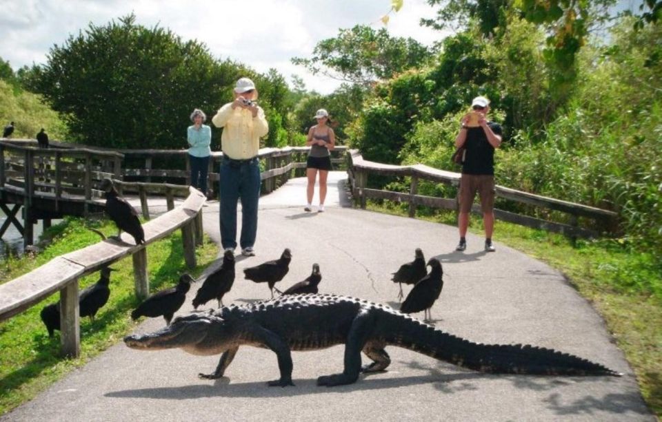Semi-Private Everglades Tour from Miami Or Fort Lauderdale - FAQ