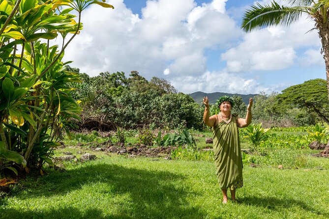 Semi Private Honolulu Historical Tour - What Travelers Say