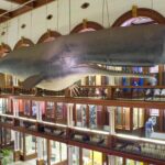 Semi Private Honolulu Historical Tour - Additional Practical Details