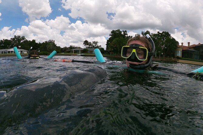 Semi-Private Manatee snorkeling with In Water Guide - Final Thoughts: Who Should Consider This Tour?