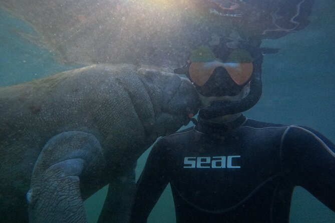 Semi-Private Manatee snorkeling with In Water Guide - Frequently Asked Questions