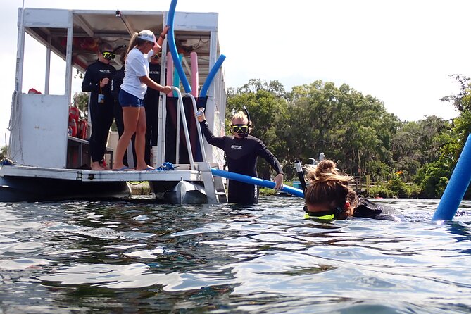 Semi-Private Manatee snorkeling with In Water Guide - In The Sum Up