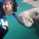 Semi-Private Manatee Swim Tour With Guide (Photos Included) - What to Expect: A Step-by-Step Breakdown