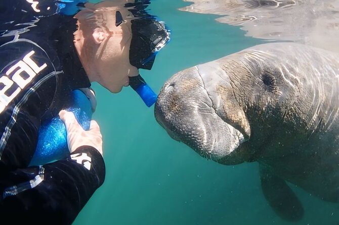 Semi-Private Manatee Swim Tour With Guide (Photos Included) - What to Expect: A Step-by-Step Breakdown