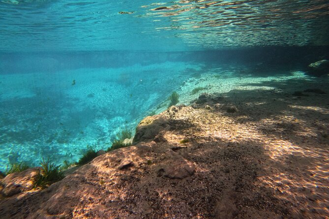 Semi-Private Manatee Swim Tour With In-Water Guide/Photographer - A Closer Look at the Itinerary