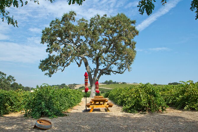 Semi-Private, Modified Hop-On Hop-Off Wine Tasting Tour from Morro and Cayucos - Key Points
