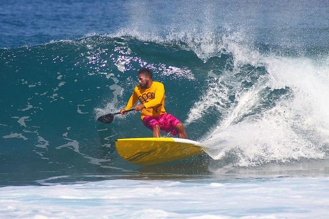 Semi-Private Stand Up Paddleboard Lesson with Pro Coach - Experience the Best of Waikiki with a Semi-Private Stand Up Paddleboard Lesson with a Pro Coach