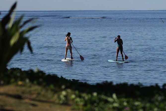 Semi-Private Surf Lesson - 3 Students 1 Instructor - What You Should Know Before Booking