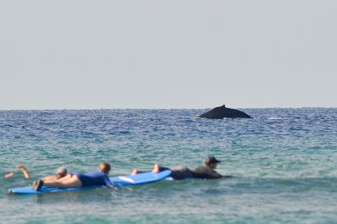 Semi Private Surf Lessons with Experienced Coaches - Introduction