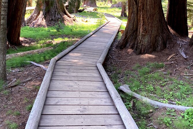 Semi Private Tour to Sequoia National Park with Lunch - Practical Aspects of the Tour