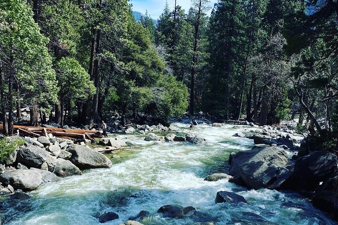 Semi Private Yosemite Valley Tour with Hotel Pick Up and Lunch - Pricing & Value
