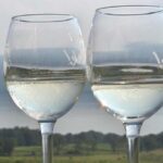 Seneca Lake: Wine Tasting Tour - Final Thoughts