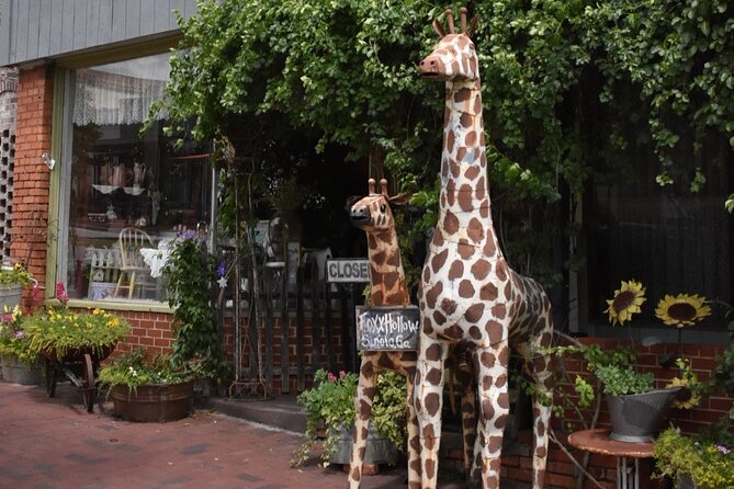 Senoia The Walking Dead Film locations 2 hours Walking Tour - Exploring Senoia and Its Film Fame
