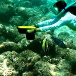 Sensational Sea Scooter Rentals - What to Expect: An Underwater Adventure on Your Terms
