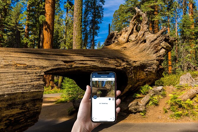 Sequoia & Kings Canyon NP Self-Guided Driving Audio Tour - Final Thoughts: Who Will Love This Tour?