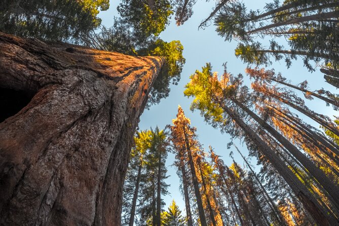 Sequoia & Kings Canyon NP Self-Guided Driving Audio Tour - FAQ