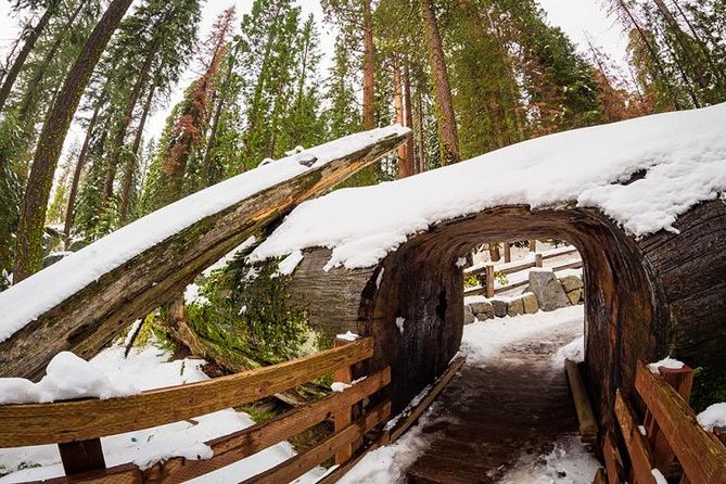 Sequoia National Park Adventure from Tulare - The Guide: Mike Melikian