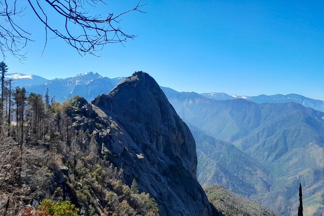 Sequoia National Park Private Tour - Who Will Love This Tour?