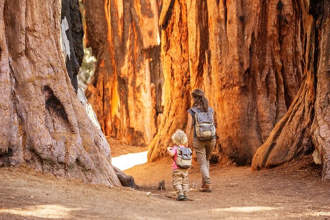 Sequoia National Park Self-Guided Audio Tour - FAQs