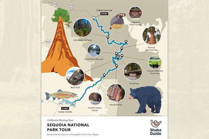 Sequoia National Park Self-Guided Audio Tour - Final Thoughts