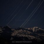 Sequoia National Park: Sherman Tree & Congress Trail Walk - What to Bring and Know Before You Go