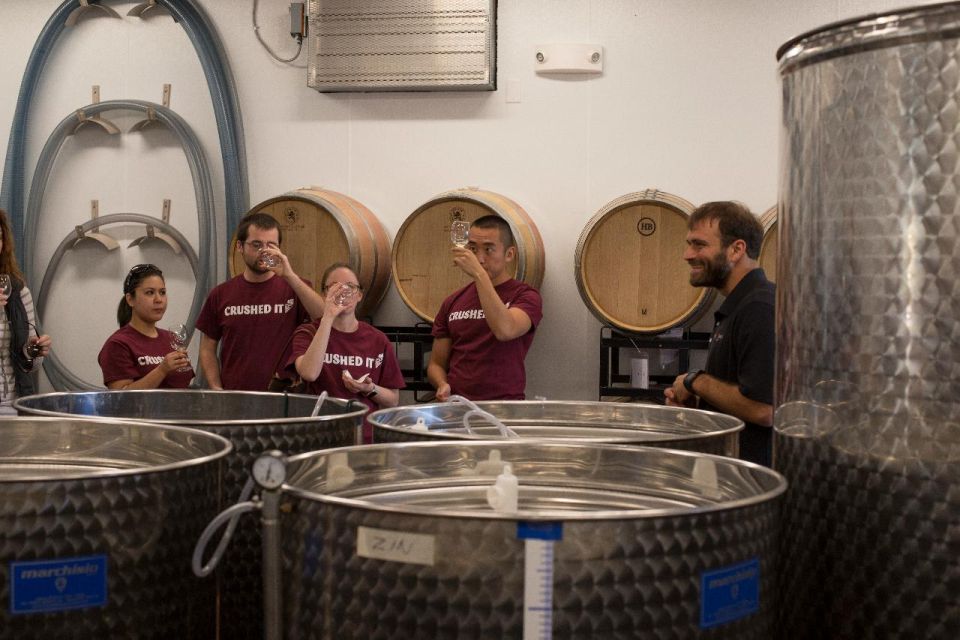 Seven Birches Winery - Meet the Winemakers Winery Tour - What to Expect from the Seven Birches Winery Tour