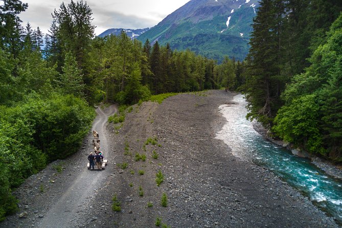 Seward and Kenai Fjords National Park Guided Tour with Lunch - The Practical Side: What’s Included and What to Consider
