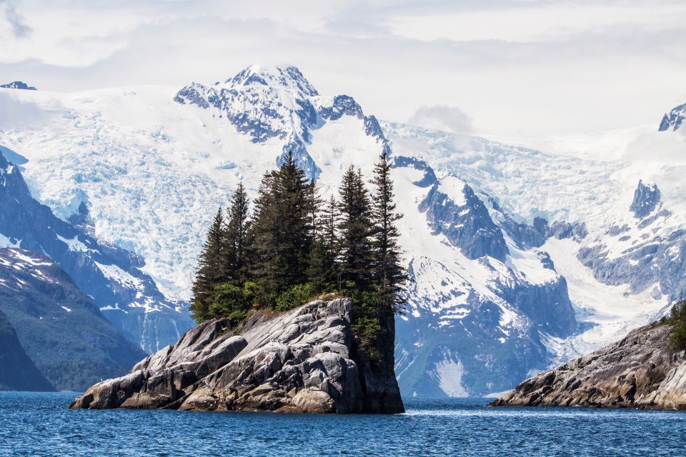 Seward: Kenai Fjords National Park Catamaran Cruise w/Lunch - Key Points