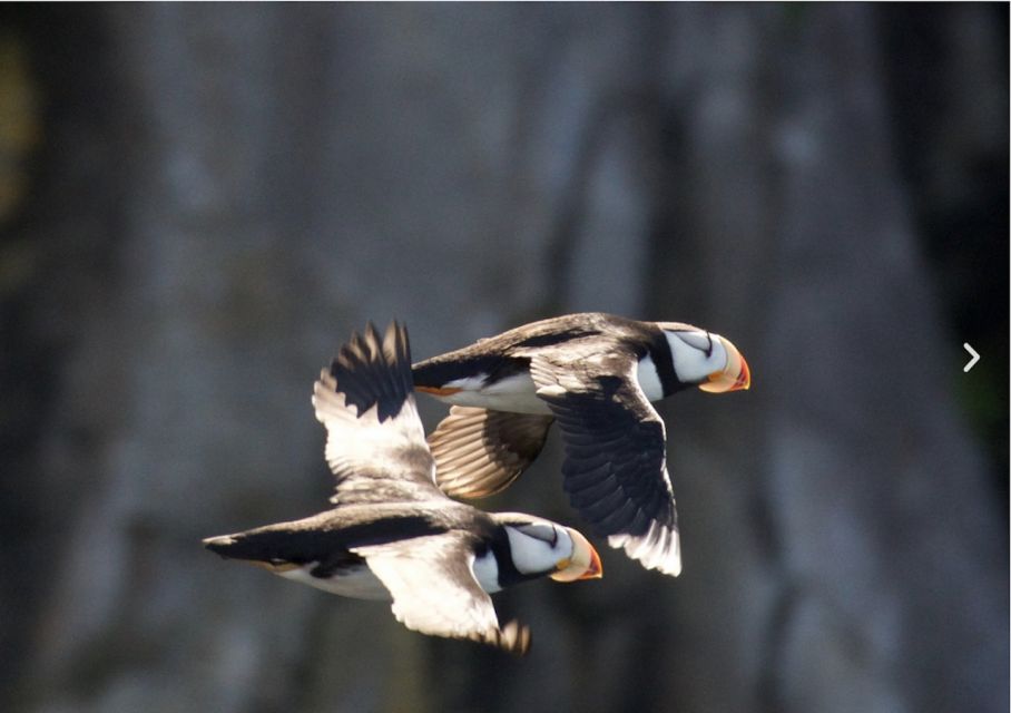 Seward: Kenai Fjords National Park Catamaran Cruise w/Lunch - FAQ