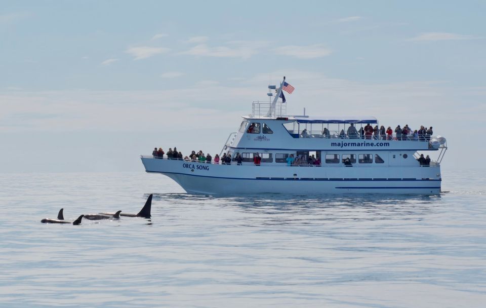 Seward: Resurrection Bay Orca Quest Cruise - Is It Worth the Price?