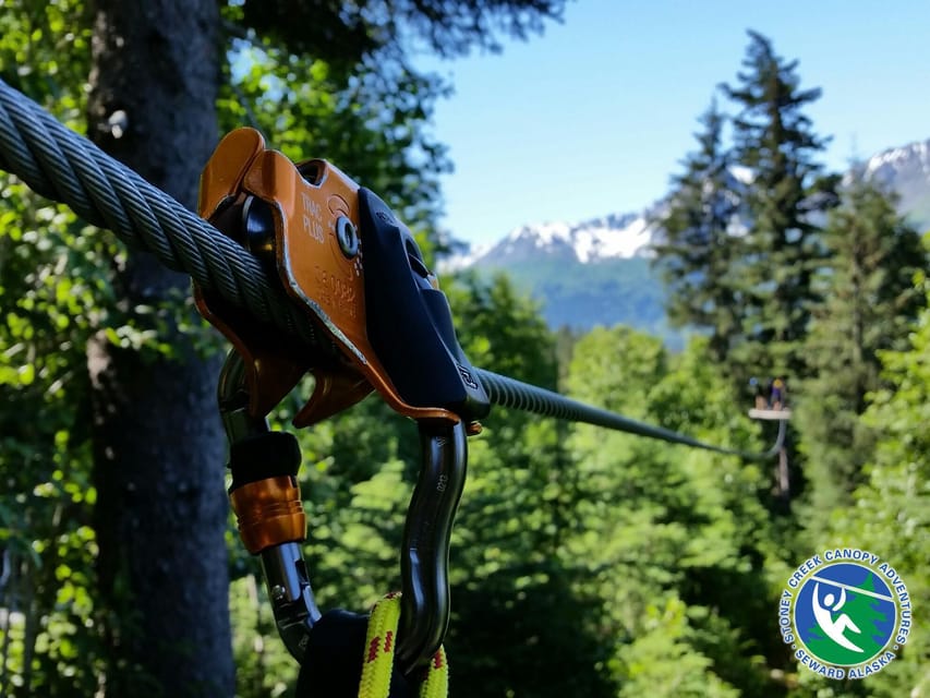 Seward: Stoney Creek Canopy Tour with Zipline - Seward: Stoney Creek Canopy Tour with Zipline — A Detailed Review
